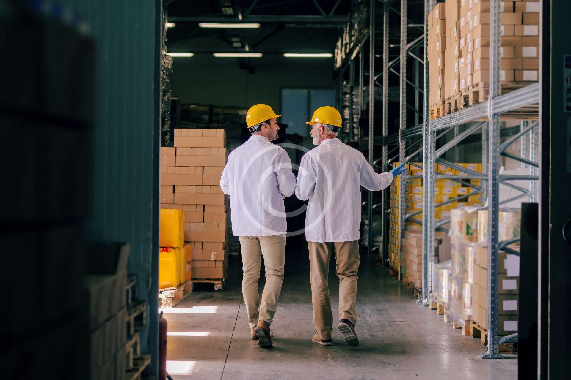 Moving services: what you need to know – IRUKA BREAD