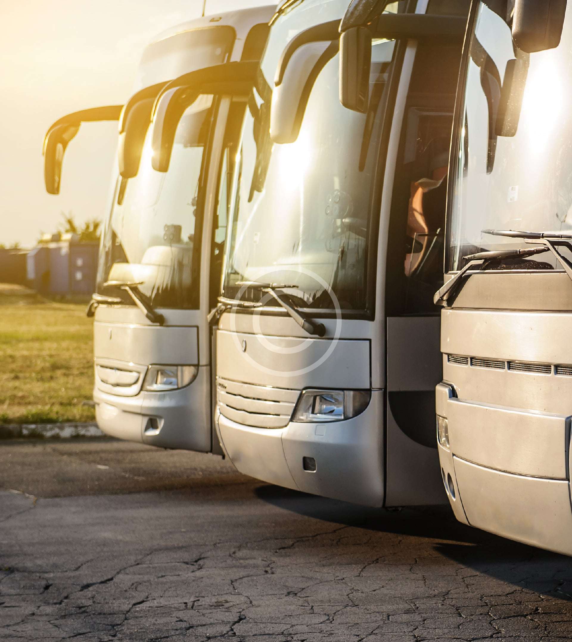 Modern bus rides – IRUKA BREAD